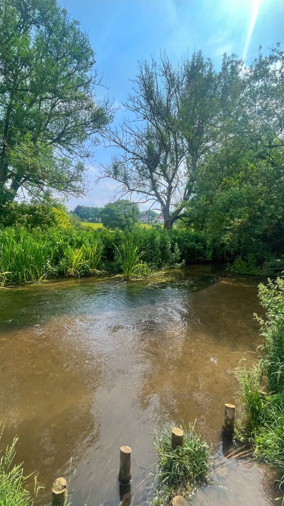UK Countryside Walk - The Little London Vegan
